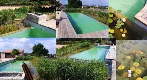 Construye una piscina ecológica o bio-piscina que no necesite químicos ...